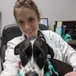 North Haven, CT Veterinary Team – Ridgehill Animal Hospital